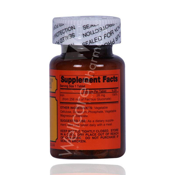 Sentinel Iron Tablets 100'S – Wellcare Pharmacy